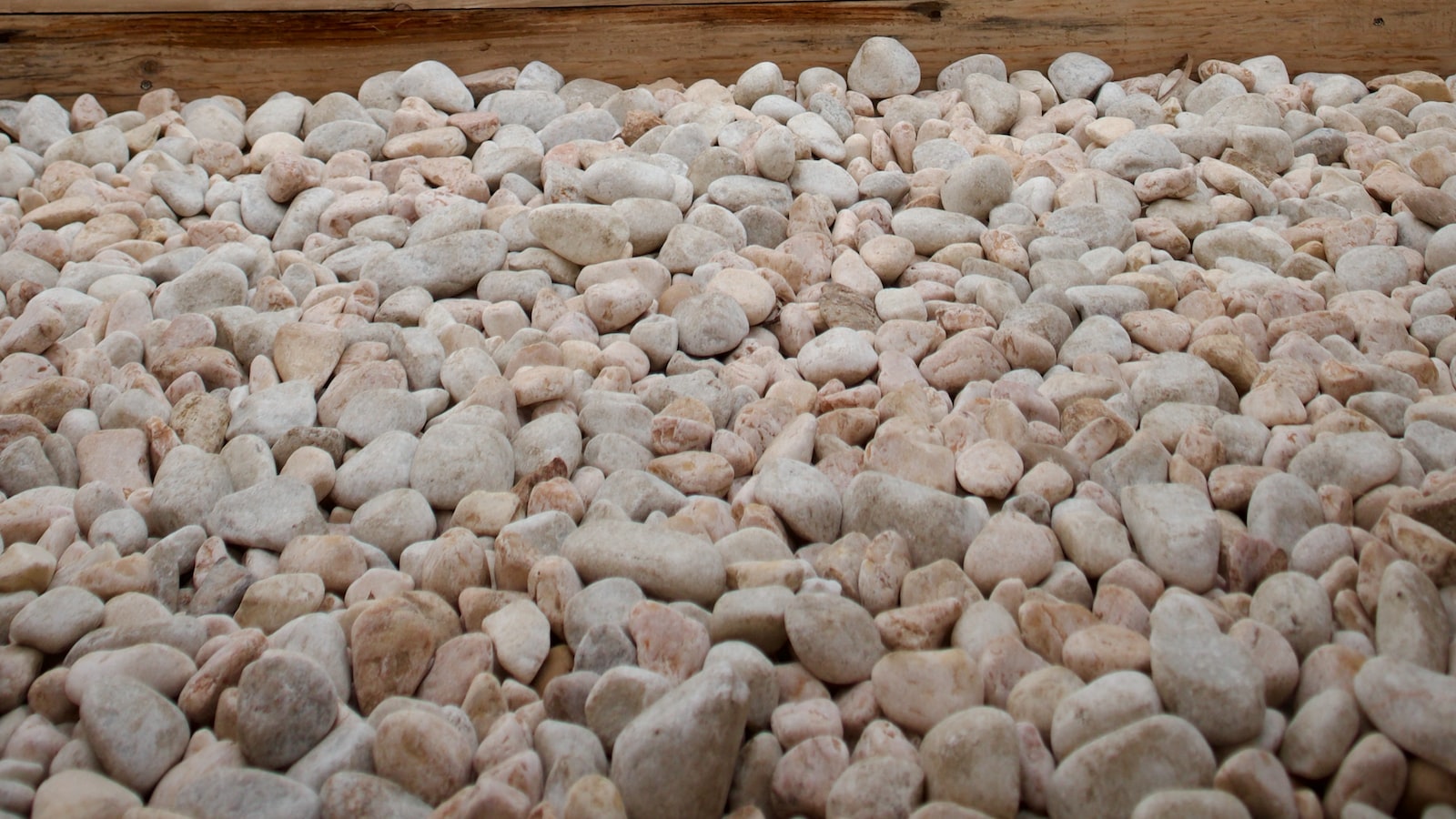 es calo formentera restaurant - Bar Nino